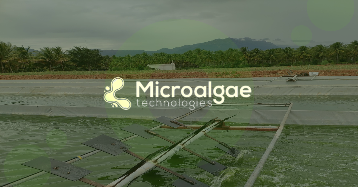 MicroAlga Tech - Innovating Future with Algae